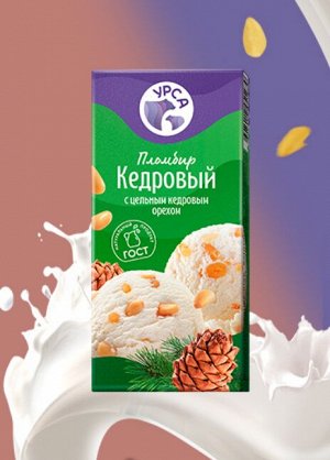 Брикет Пломбир Кедровый 200г Урса Фабрика мороженого | Брикет 200гр ...