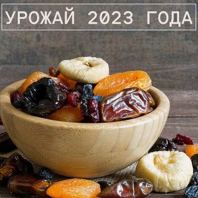 Сухофрукты: чернослив, курага, изюм, финики, клюква и другие ...