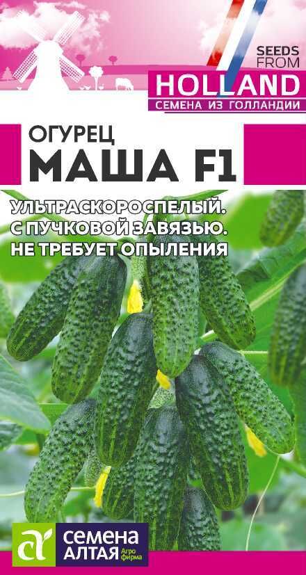 Семена Алтая / Огурец Маша F1/Сем Алт/цп 5 шт. Seminis (Голландские ...