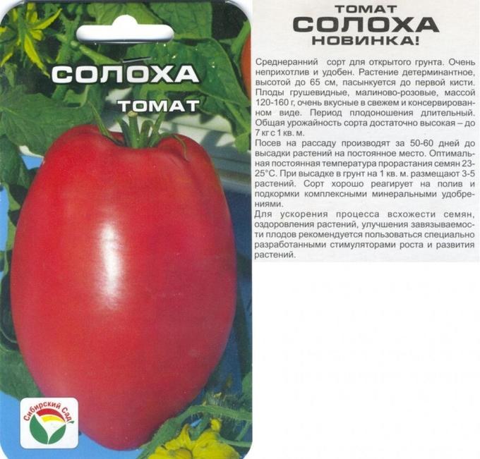 Томат Солоха Отзывы Фото — Фото