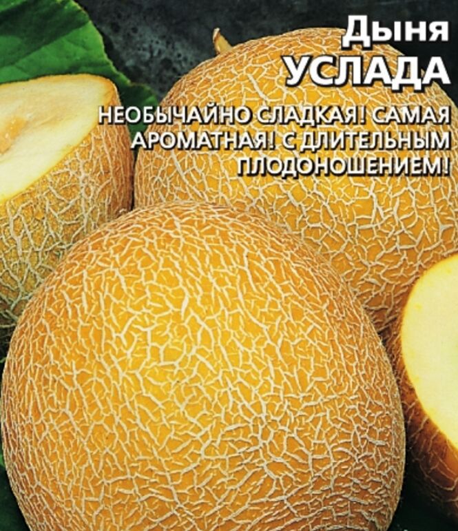 Дыня Услада | Дыня (семена). Семена фруктов