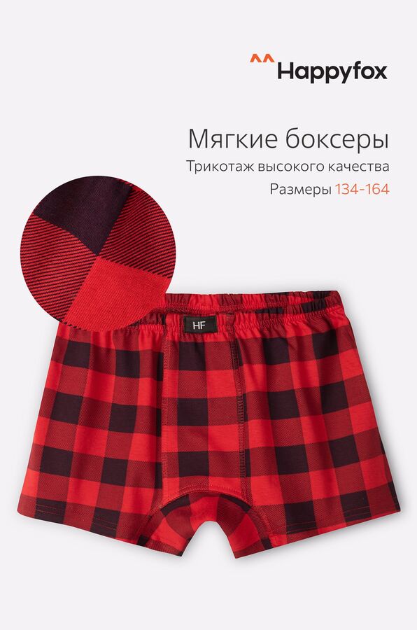 Happy Fox Трусы для мальчика Мальчикам Нижнее бельё Белье для
